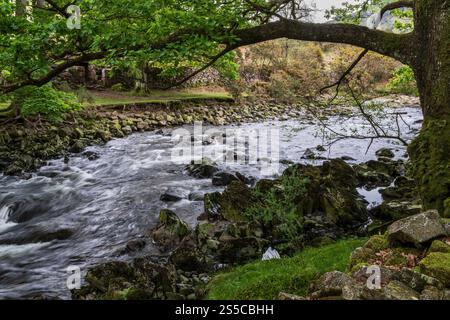 The River Esk near St Catherine's Church, Dalegarth in Eskdale, Cumbria ...