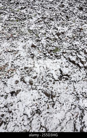 A thin layer of snow in the field. Sunny day in winter. Winter rural ...