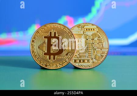 Two gold bitcoins lie on the green surface on the background of the ...