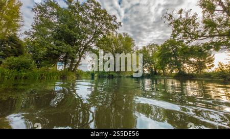 Chaloner Wild Swimming Pond from swimmer's POV Stock Photo - Alamy