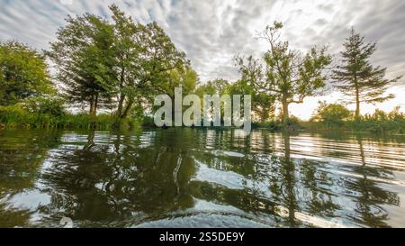 Chaloner Wild Swimming Pond from swimmer's POV Stock Photo - Alamy