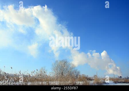 The industrial plant is located behind the swampy terrain, covered with ...