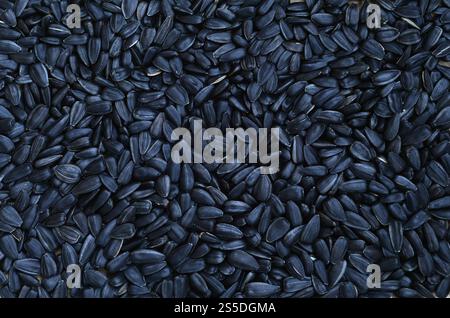 A pattern of many unprocessed fried sunflower seeds in a black shell ...