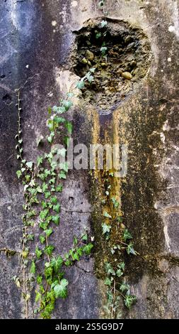 Bunker wall damaged by shells, french artillery battery, Verdun area ...