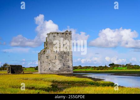 Carrigafoyle Castle is one of the historical landmarks along the Wild ...