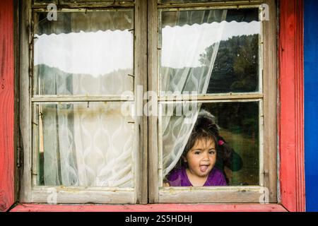 secondary forest of Canelo - Drymis Winteri- and Coigue -Nothofagus ...