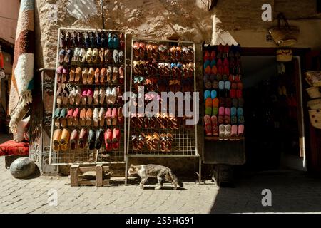 Traditional arabic style loafers of colors in the streets of the ...