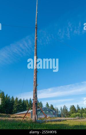 The world's tallest totem pole at Alert Bay, Cormorant Island, British ...
