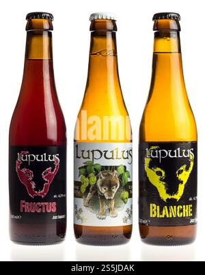 Bottles of Belgian Lupulus beer isolated on white background Stock ...