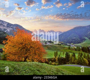 Autumn daybreak Santa Magdalena famous Italy Dolomites village view in ...