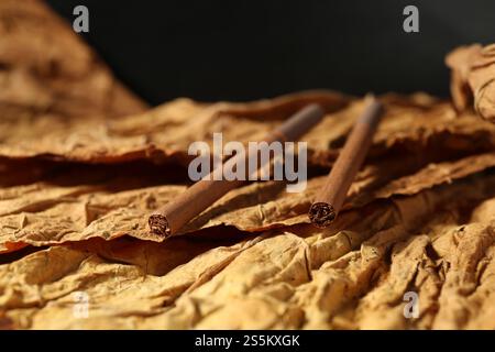 Many cigarettes on dark background Stock Photo - Alamy