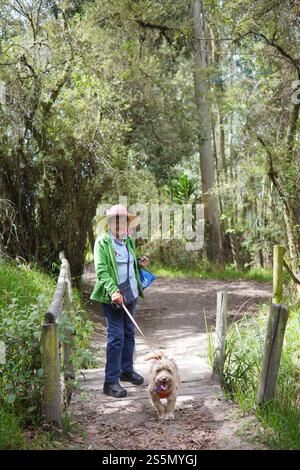 A woman walks outdoors in autumn, enjoys the autumn weather Stock Photo ...