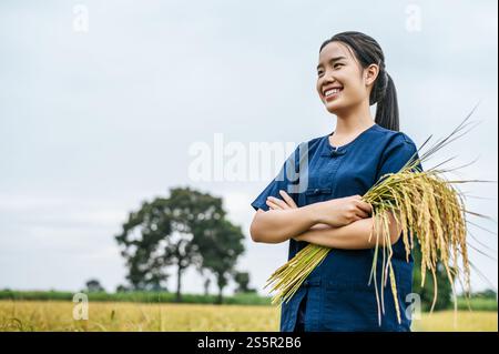 Hand holding ripe rice stalks in a paddy field during golden hour Stock ...