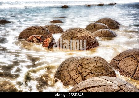 Unique round textured rock Moeraki boulders on the cliffside and beach ...