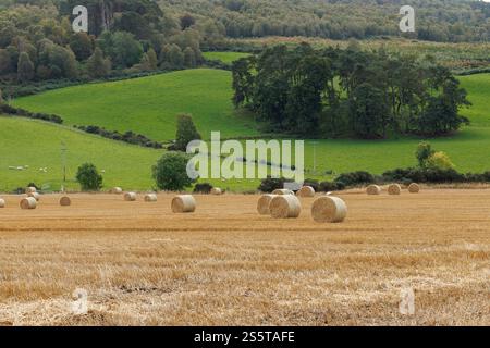 Scotland, Aldourie. Field of harvested hay Stock Photo - Alamy