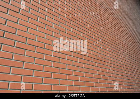 The texture of a high brick wall from a many rows of red bricks ...