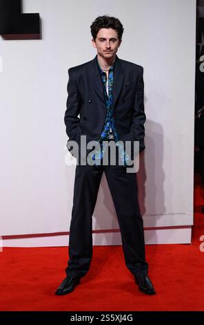 London, UK. 14th Jan, 2025. Louis Powell at A Complete Unknown UK ...