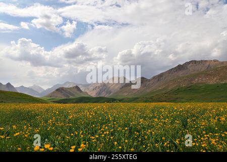 The beautiful Lar plain in Iran Stock Photo - Alamy