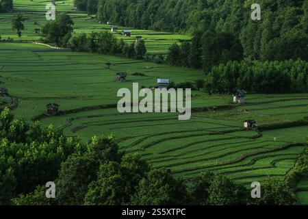 Agriculture and the beautiful nature of Farim in Iran Stock Photo - Alamy