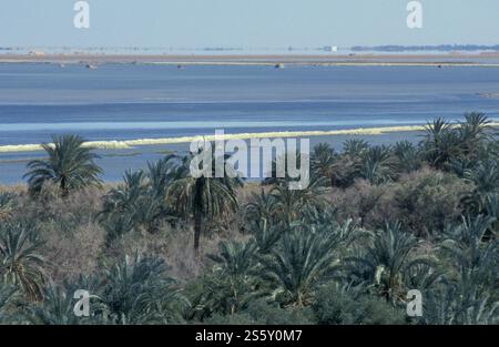 Salt lake in Bahariya oasis, Egypt Stock Photo - Alamy