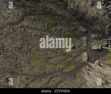 Deforestation aerial photo,Forest destroyed environmental damage from ...