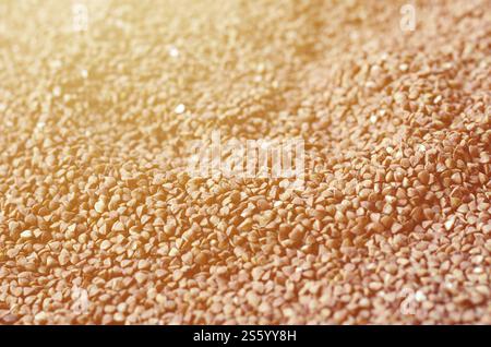Grains of raw buckwheat as a background texture Stock Photo - Alamy