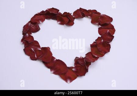 Heart of rose petals on pastel lilac background. Valentine's day ...