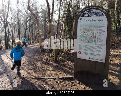 Formby asparagus trail. Freshfield Formby Stock Photo - Alamy