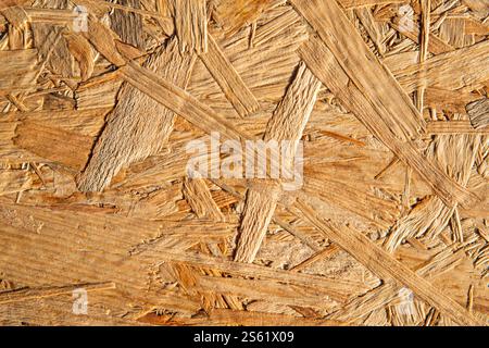 Golden Reed by the Lakeshore at Sunset Stock Photo - Alamy
