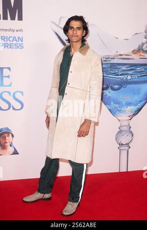 Nirav Mehta attends 'Triangle of Sadness’ UK Premiere during the BFI ...