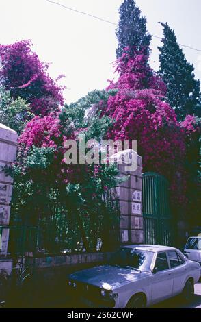 Al-Azm Palace, Damascus, Syria, 2001. Built in 1750, it was the ...