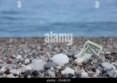 Close up of a sand dollar on a wooden table with a small gem in the ...