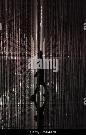 teamLab Borderless infinite crystal world digital artwork display at ...