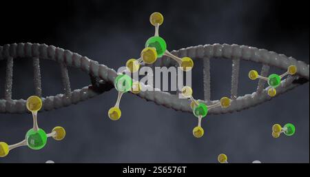 Image of floating molecules over dna strand Stock Photo - Alamy