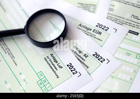 German different tax declaration blank forms - Anlage EUR, Anlage SZ ...