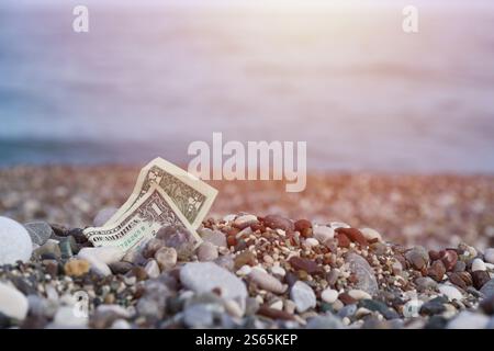 Close up of a sand dollar on a wooden table with a small gem in the ...