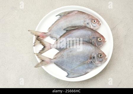 Ikan Dorang or Ikan Bawal Putih, food preparation Stock Photo - Alamy