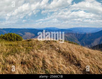 Autumn morning Carpathian Mountains calm picturesque scene, Ukraine ...