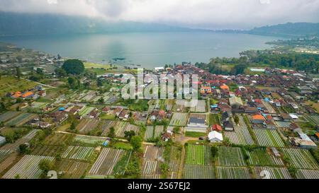 Vegetable plantations in the Bedugul area of Bali, Indonesia. Near ...