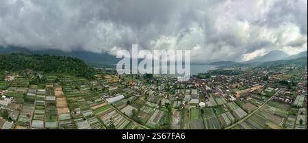 Vegetable plantations in the Bedugul area of Bali, Indonesia. Near ...