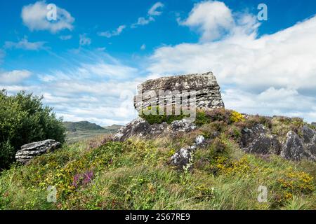Erratic boulder of Devonian sandstone deposited by a glacier during the ...