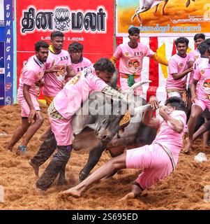 Jalli Kattu : Avaniyapuram Madurai. 2025 Jallikattu (or Sallikkattu ...