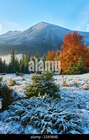 Wonderful autumn scenery with first frosts in the mountains Stock Photo ...