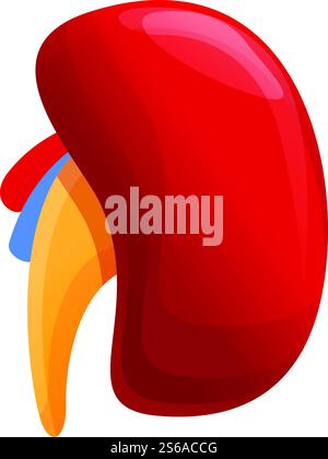 Polycystic kidney disease. Normal human kidney and polycystic kidney ...