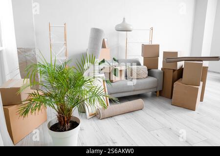 Cardboard boxes with grey sofa, rolled carpet and houseplant near green ...