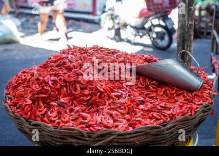 Dried shrimp for sale at a stand. Crustacean rich in protein, omega 3 ...