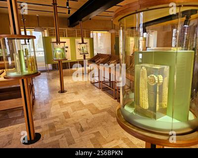 Mexico City, Mexico - Feb 7 2024: Cencalli Museum House of Corn and ...