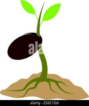 Plant life process illustrtation vector flat design Stock Vector Image ...