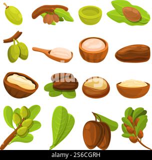 Shea tree. Vector karite branch, sketch leaf, nuts. Hand drawn ...