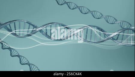 Image of diagrams over dna strands Stock Photo - Alamy